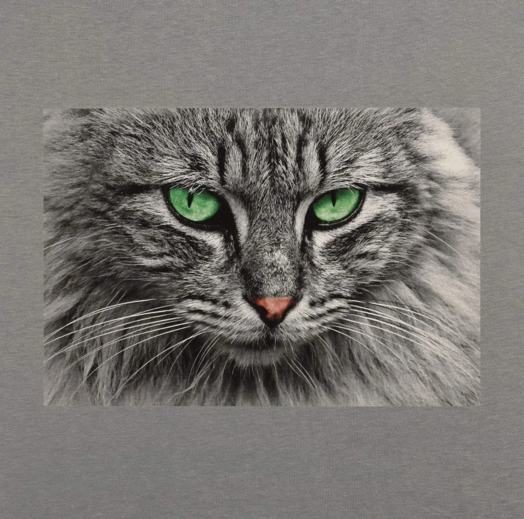 DevStudio DTG RIP : Devstudio