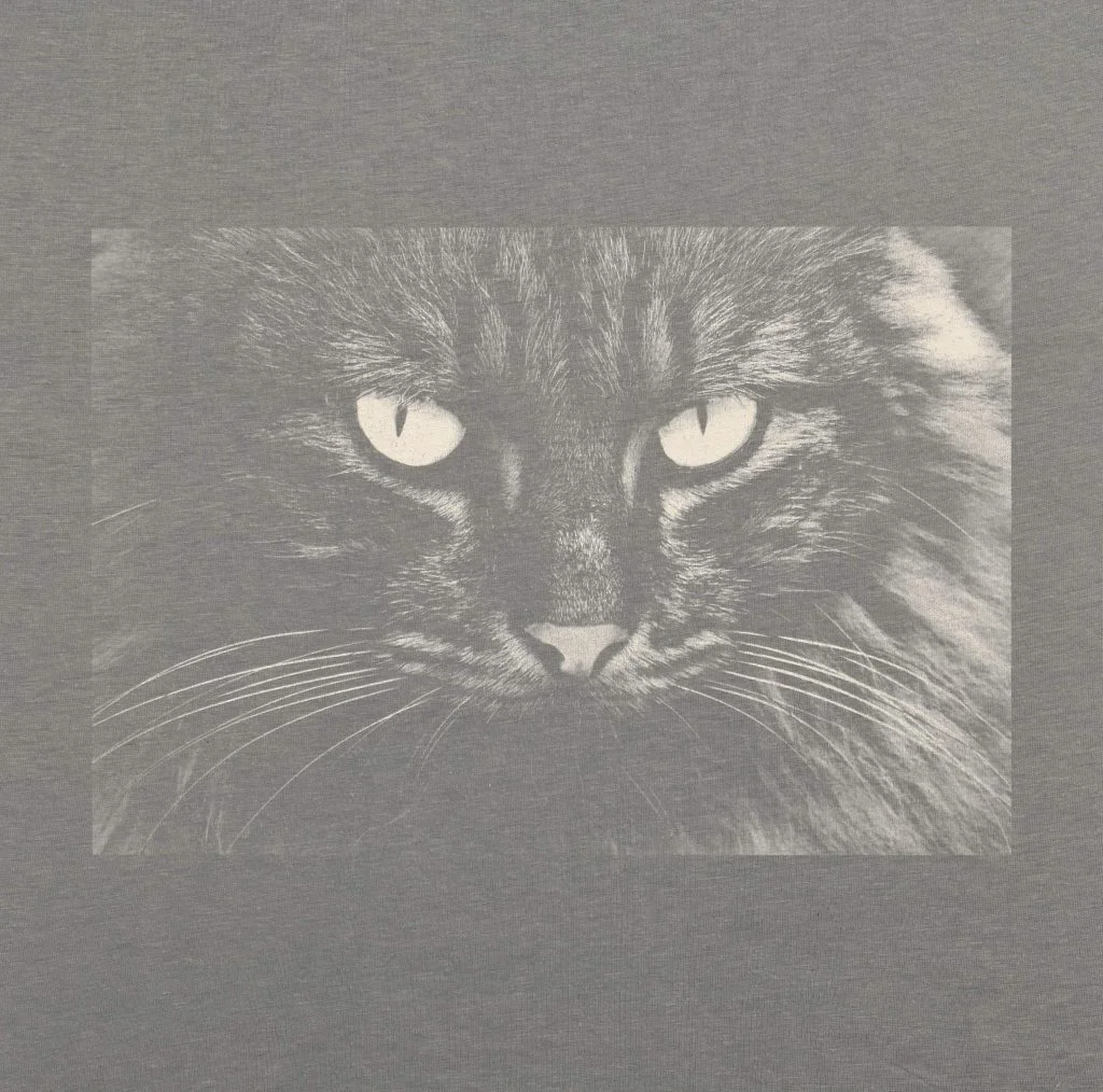 DevStudio DTG RIP : Devstudio